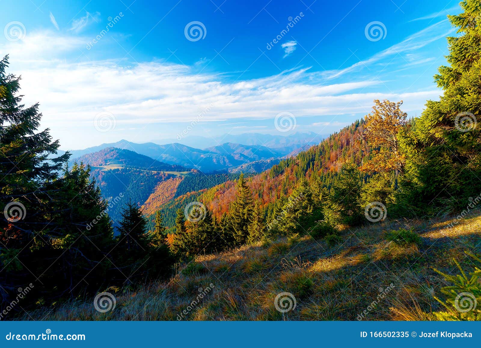 Beautiful Mountain Landscape, Autumn Meadows and Trees. Stock Image ...