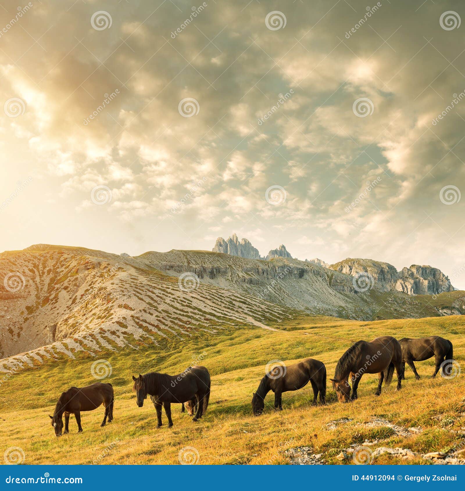 Beautiful Mountain Landscape with Horses in the Foreground Stock Photo ...
