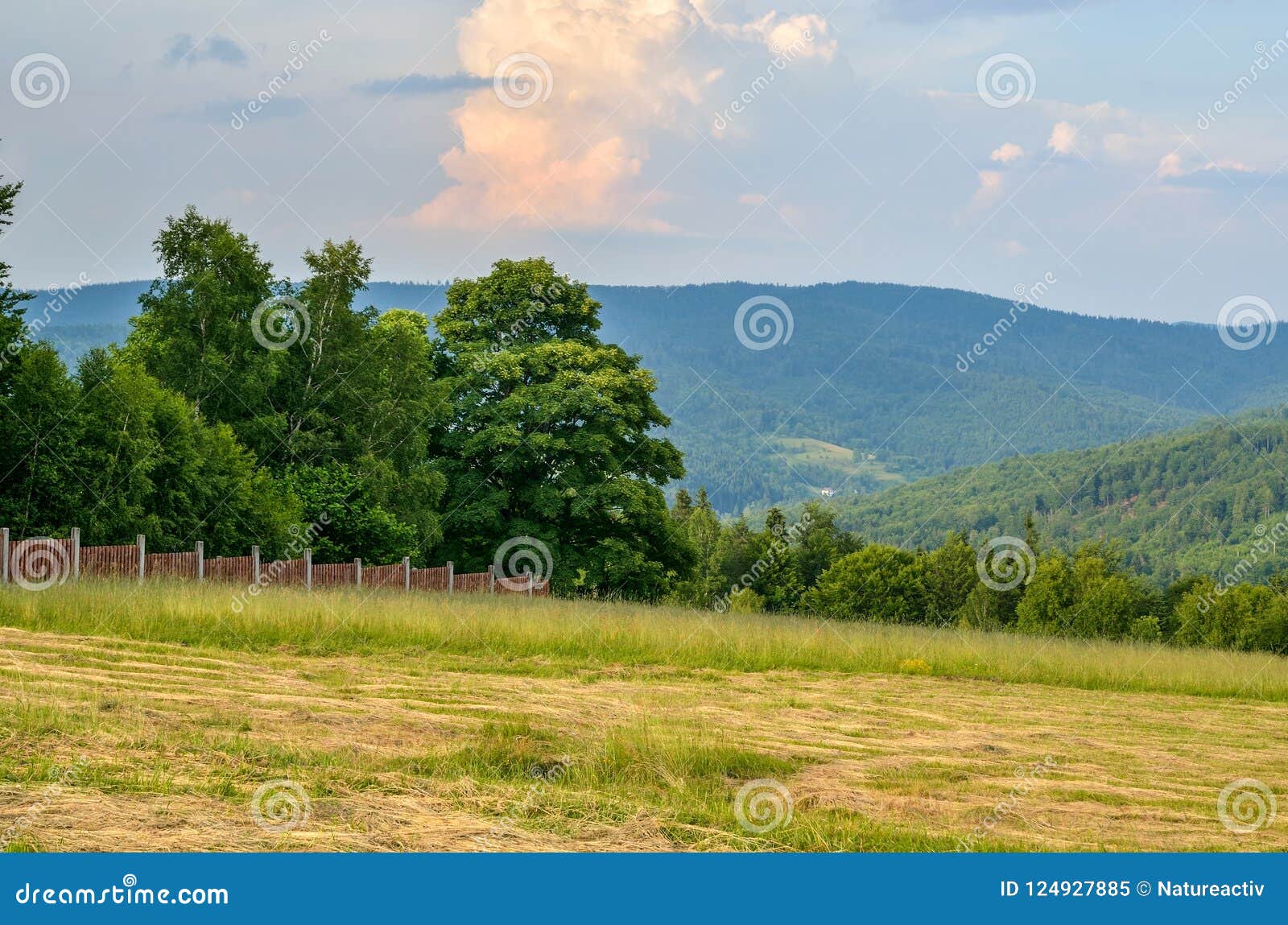Beautiful Mountain Landscape. Stock Image - Image of branch, calm ...