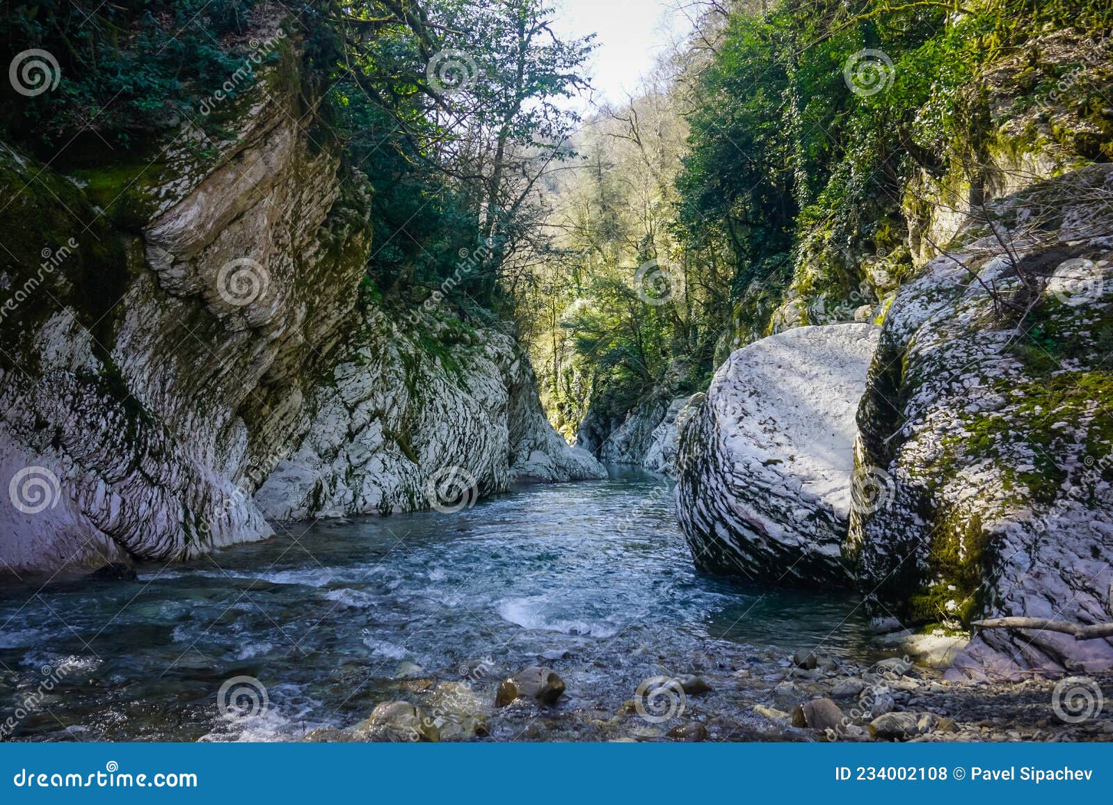 Beautiful Mountain River in the Gorge Stock Photo - Image of landscape ...