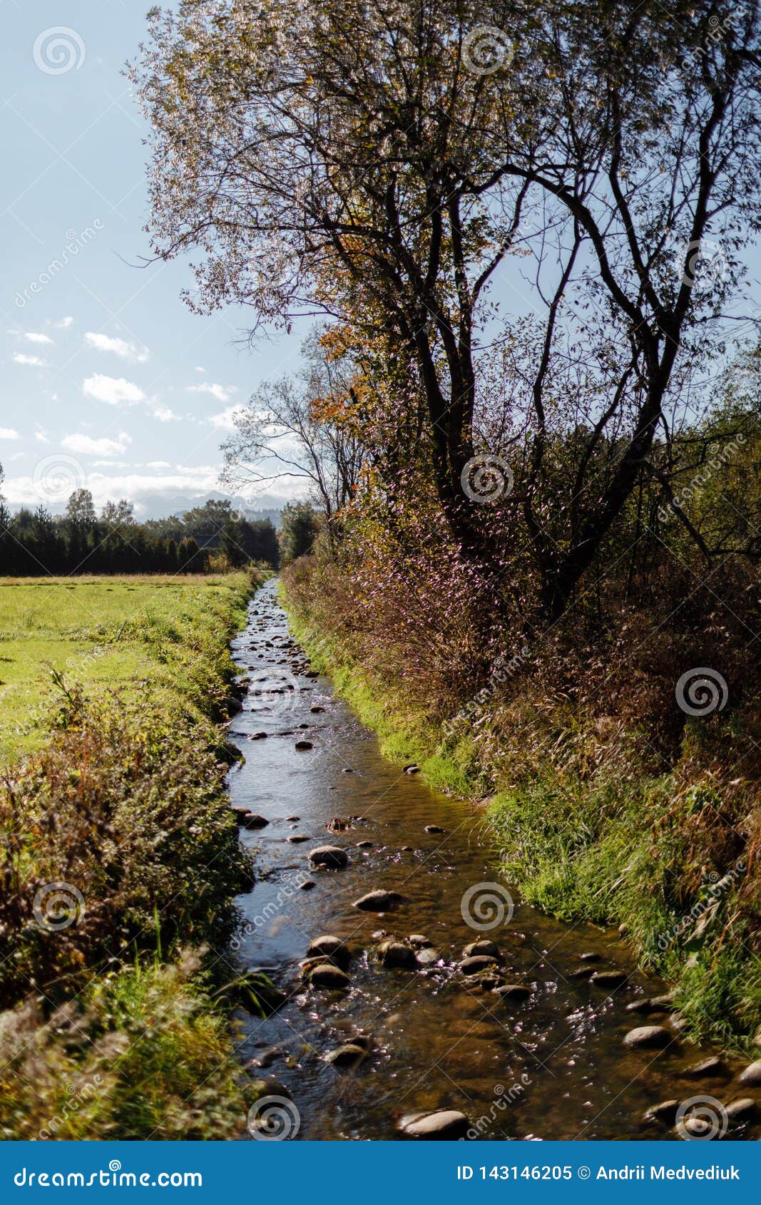 View from the Mountain. a Mountain River Flows Down from the Mountains ...