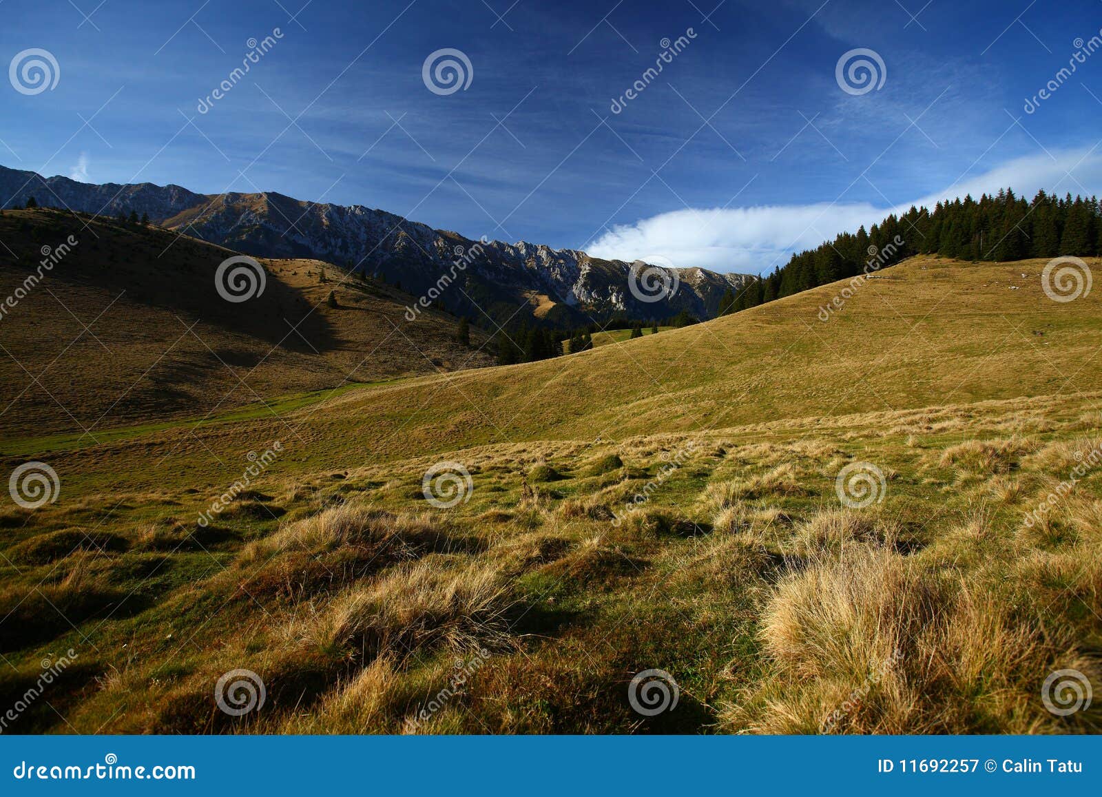 Beautiful Mountain Scenery and Alpine Grass Stock Image - Image of ...