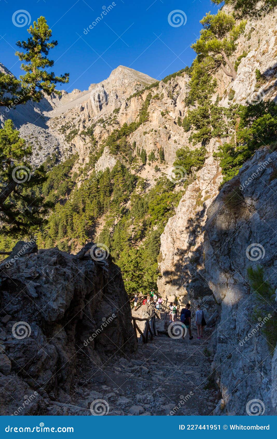 Beautiful Mountain Scenery of a Gorge Surrounded by Tall Cliffs and ...