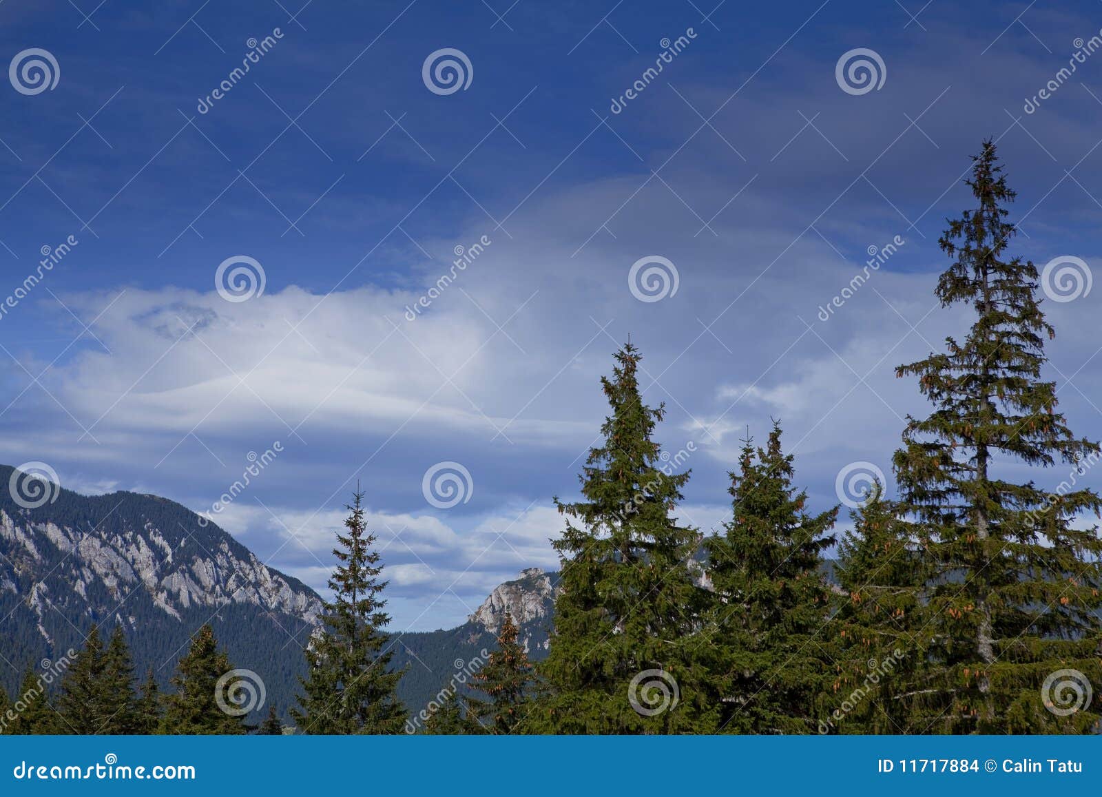 Beautiful Mountain Scenery and Pine Trees Stock Photo - Image of path ...