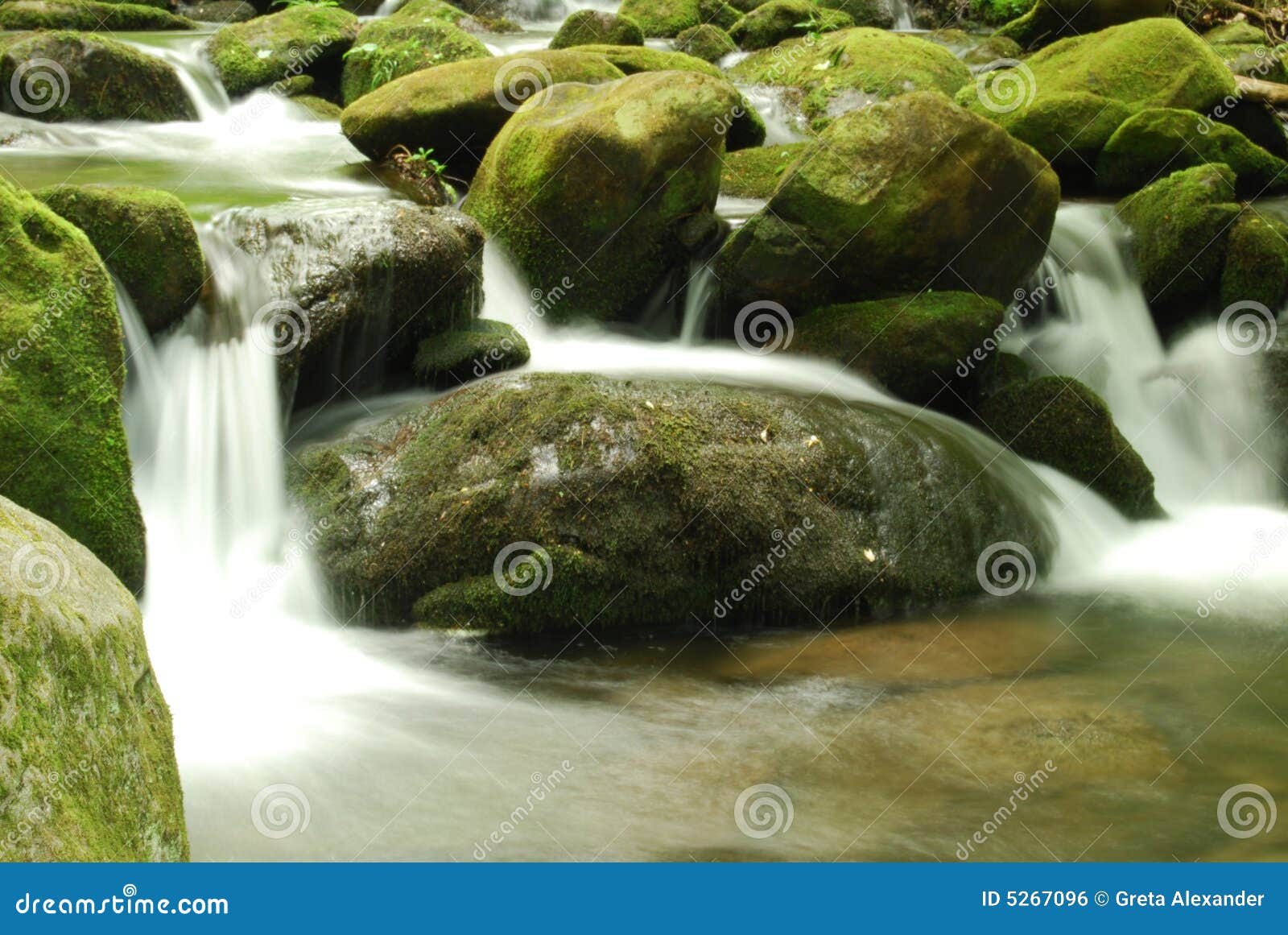 Beautiful Mountain Stream stock photo. Image of flowing - 5267096