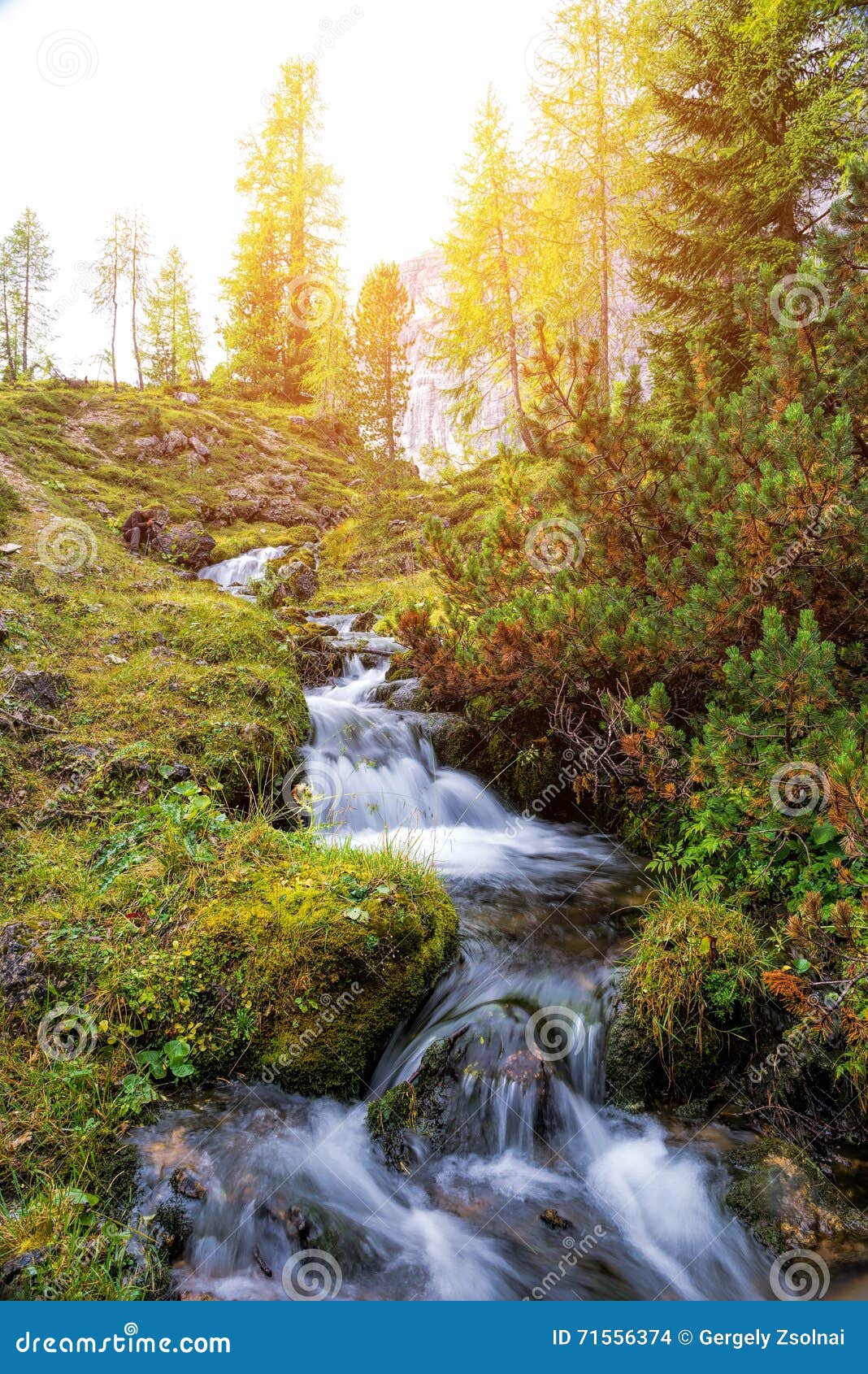 Beautiful Mountain Stream in the Dolomites Stock Photo - Image of ...