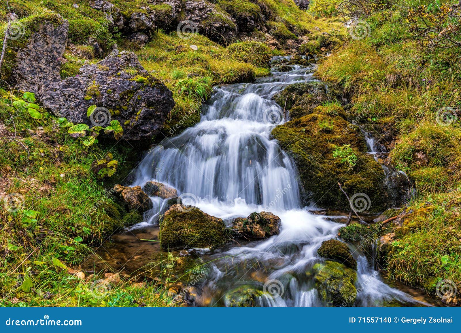 Beautiful Mountain Stream in the Dolomites Stock Photo - Image of high ...
