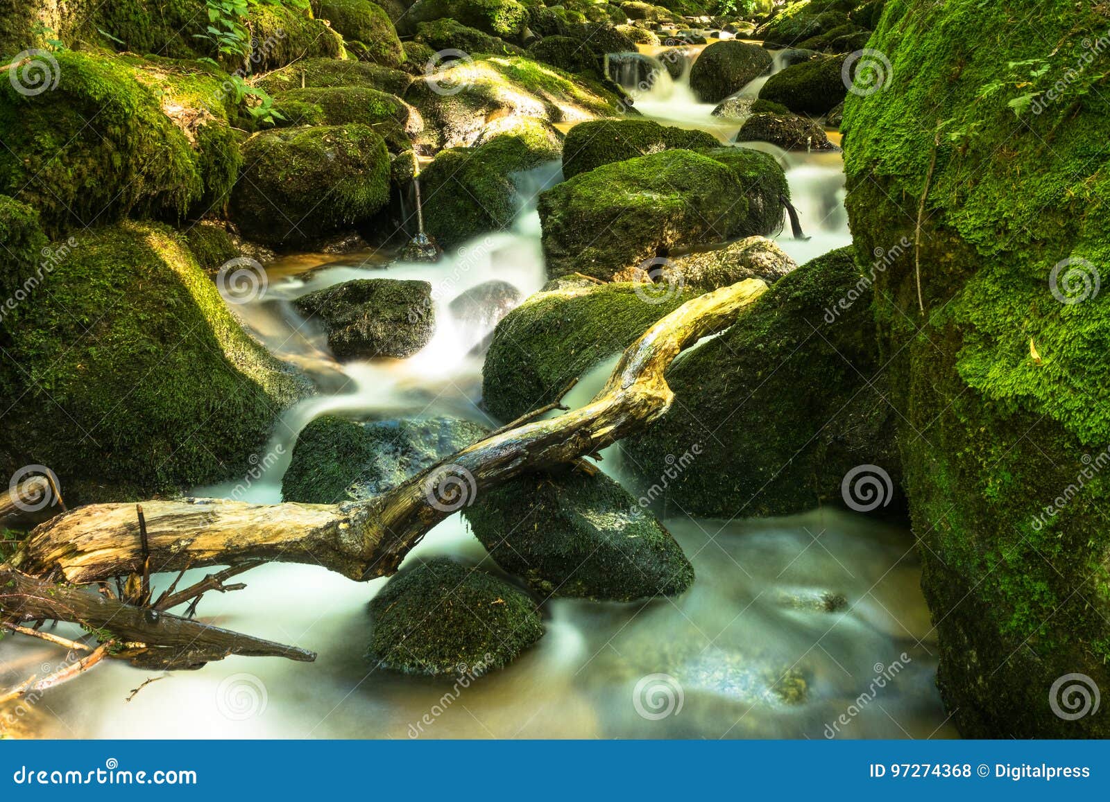Beautiful Mountain Stream with Moss Covered Stones Stock Photo - Image ...