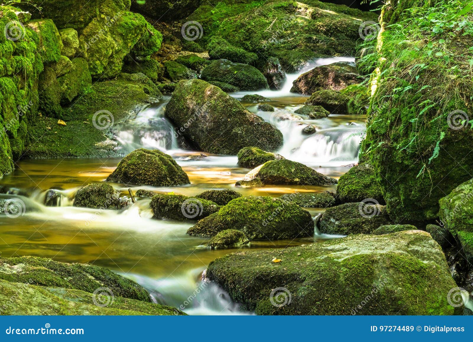 Beautiful Mountain Stream with Moss Covered Stones Stock Image - Image ...