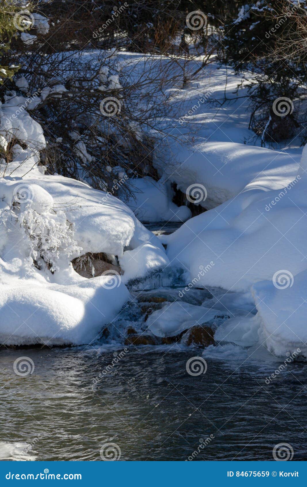 Beautiful Mountain Stream in the Shade Under the Snow Stock Image ...