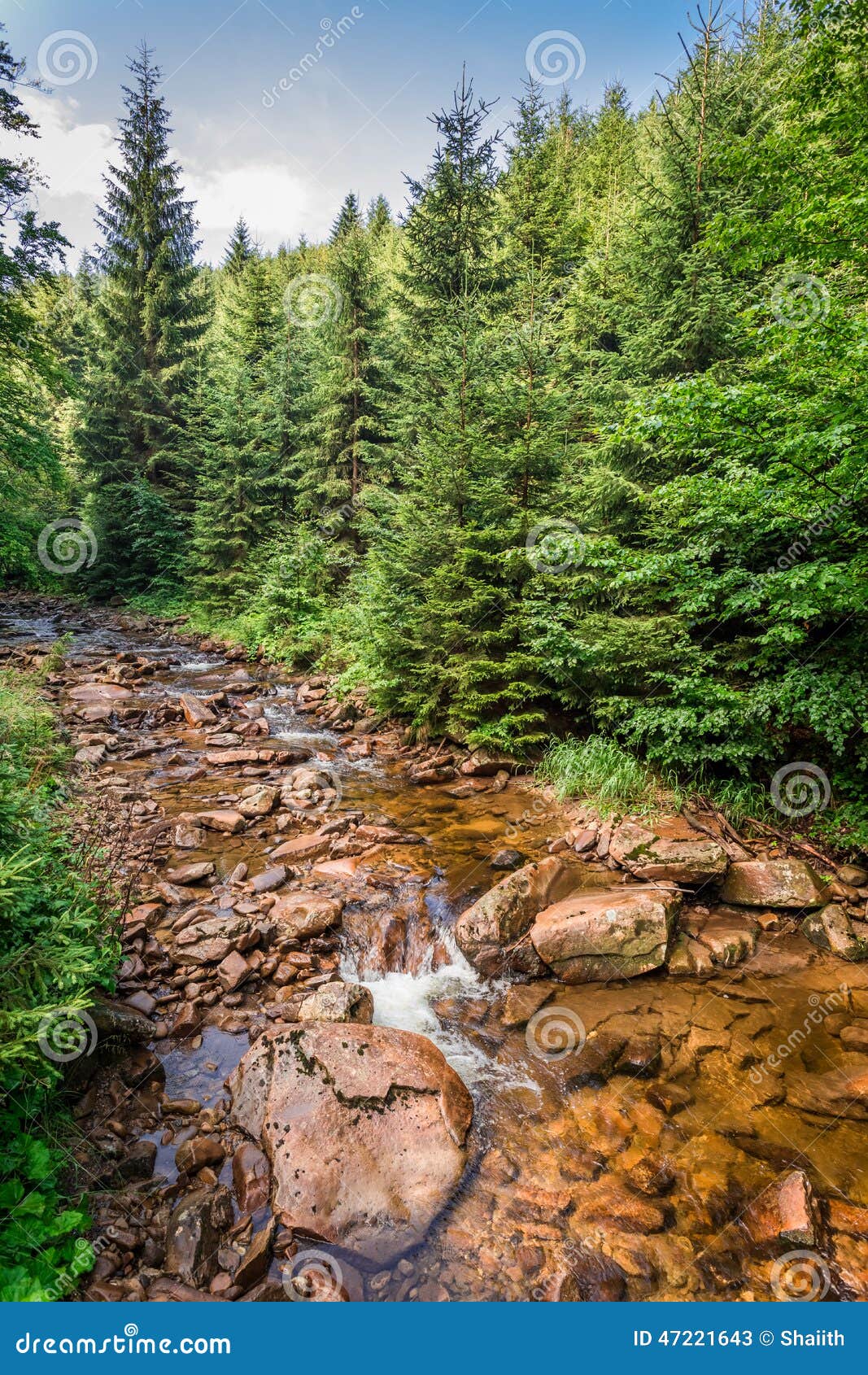 Beautiful Mountain Stream on a Sunny Summer Day Stock Image - Image of ...