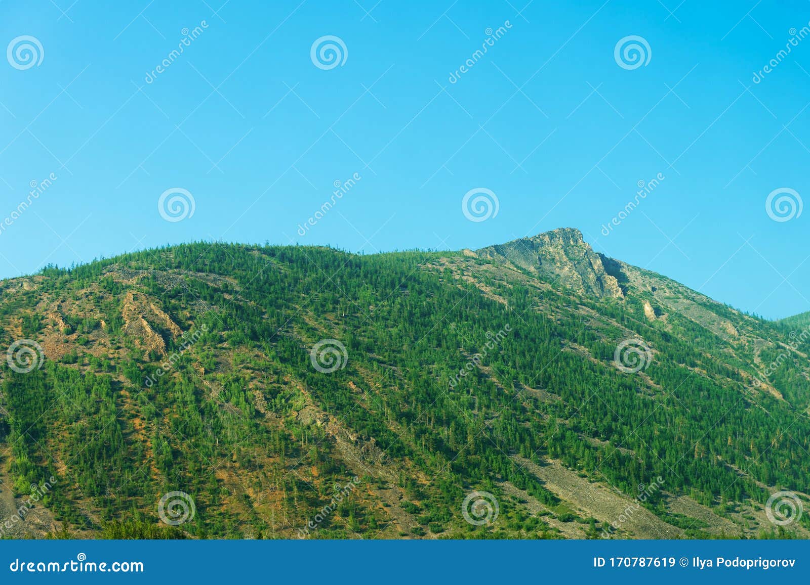 Beautiful Mountain Summer Landscape in the Afternoon Stock Image ...