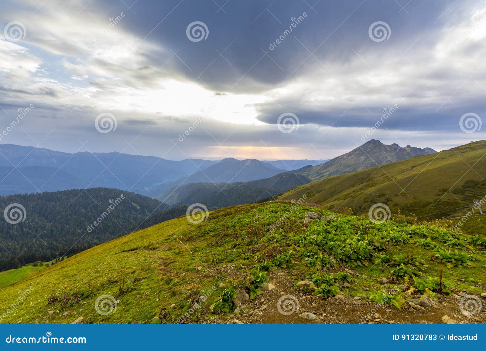 Beautiful Mountain Summer View Stock Image - Image of sochi, green ...