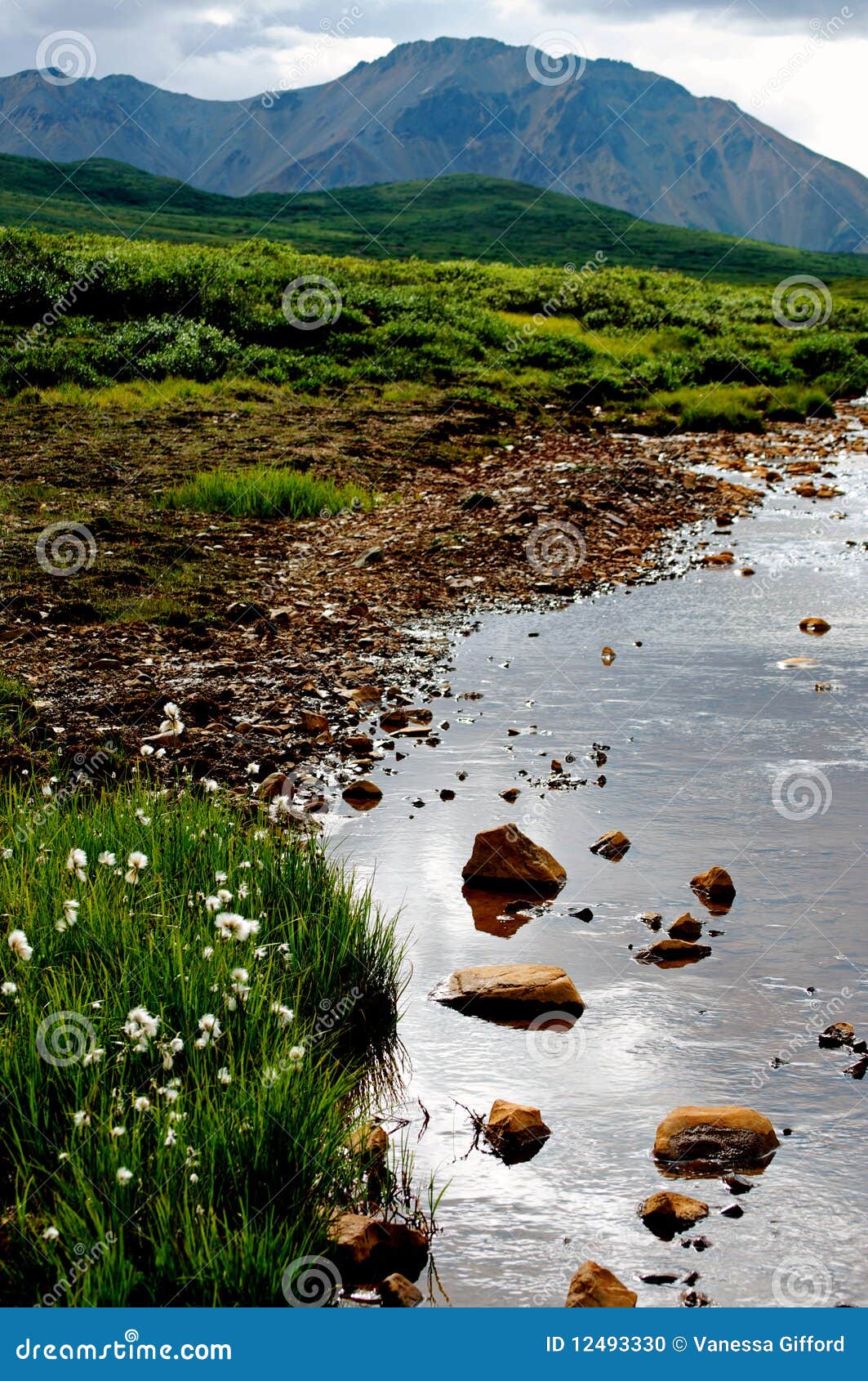 Beautiful Mountain Valley and River Stock Photo - Image of countryside ...
