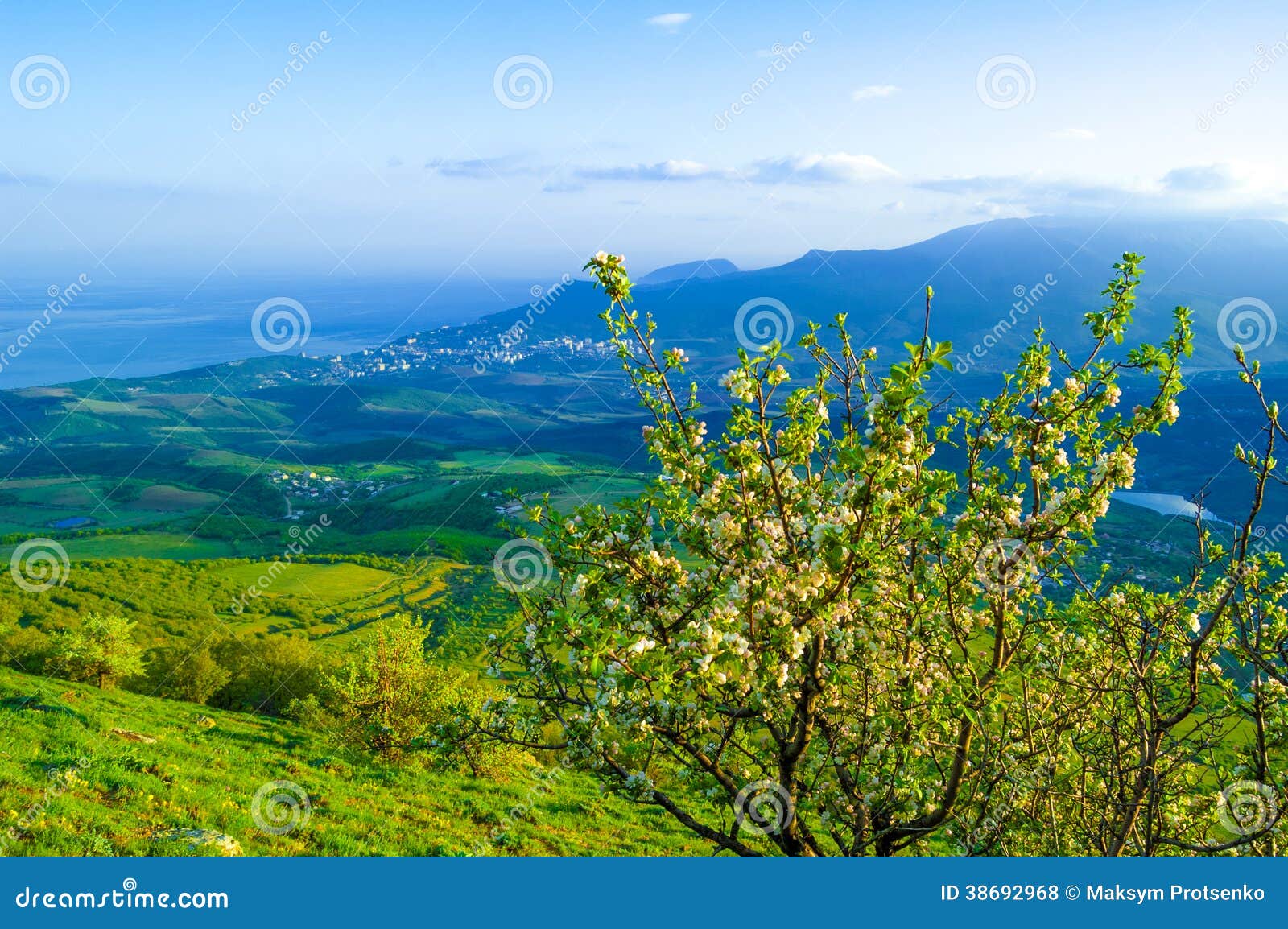 Beautiful Mountain Valley with Sunlight Stock Photo - Image of hill ...