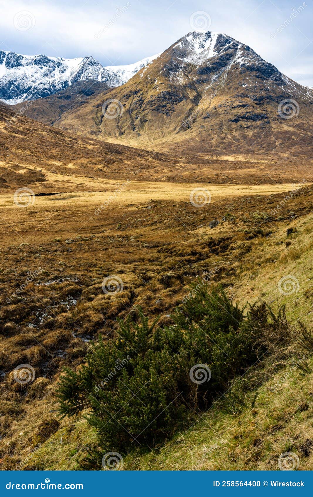 Mountain View of the Scottish Highlands Stock Photo - Image of stone ...