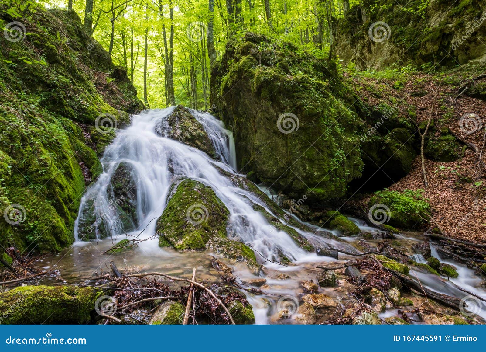 Beautiful Mountain Waterfall in the Forest Stock Image - Image of ...