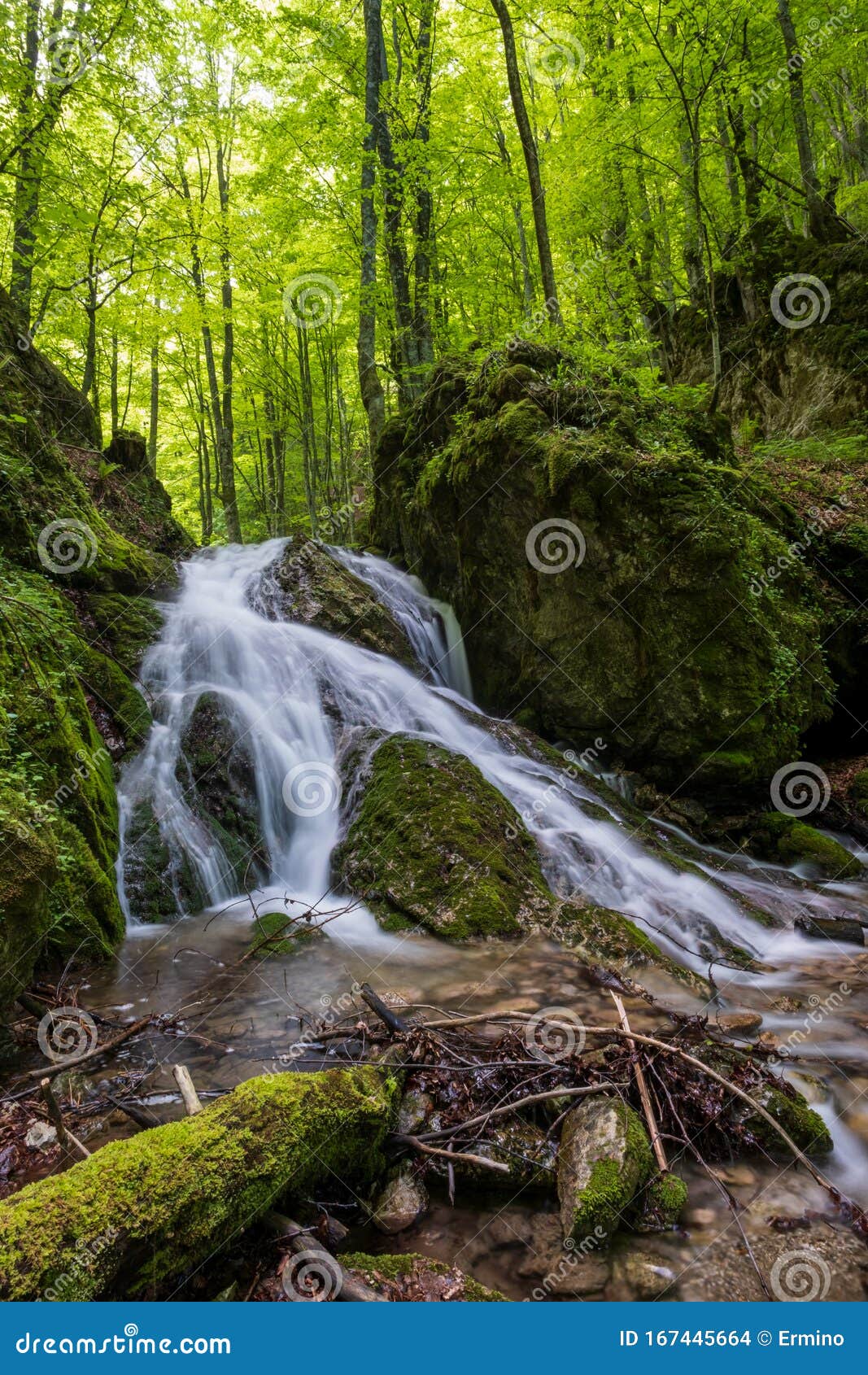 Beautiful Mountain Waterfall in the Forest Stock Photo - Image of ...
