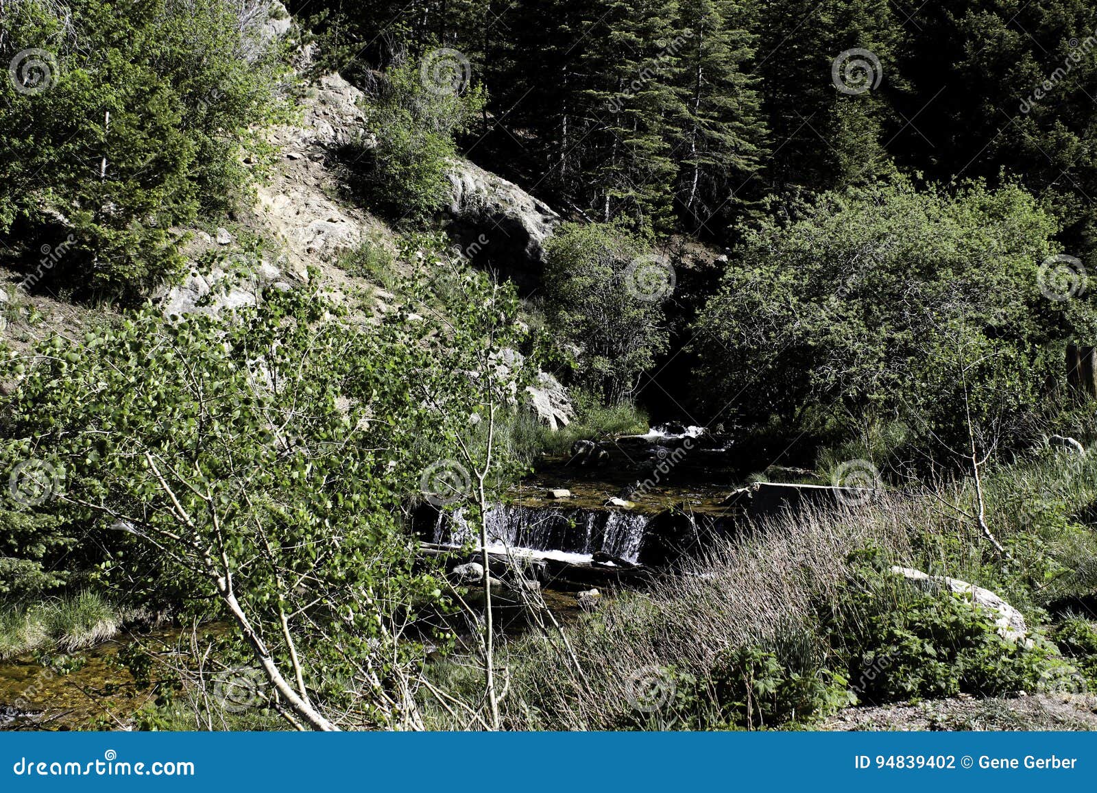 Beautiful Mountain Waterfall Scene Stock Photo - Image of waterfall ...