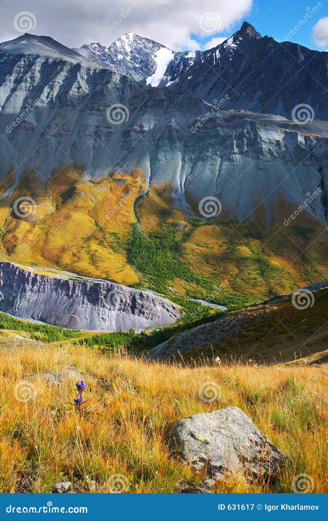 Beautiful mountains. Altay stock image. Image of yellow - 631617
