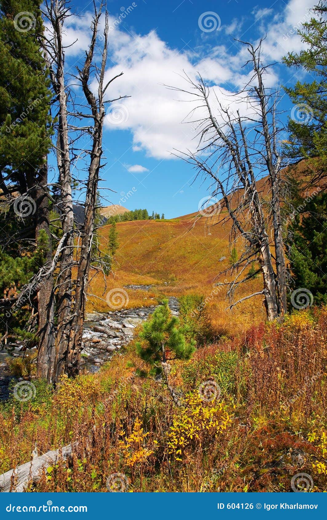 Beautiful Mountains Landscape. Stock Photo - Image of autumn, landscape ...