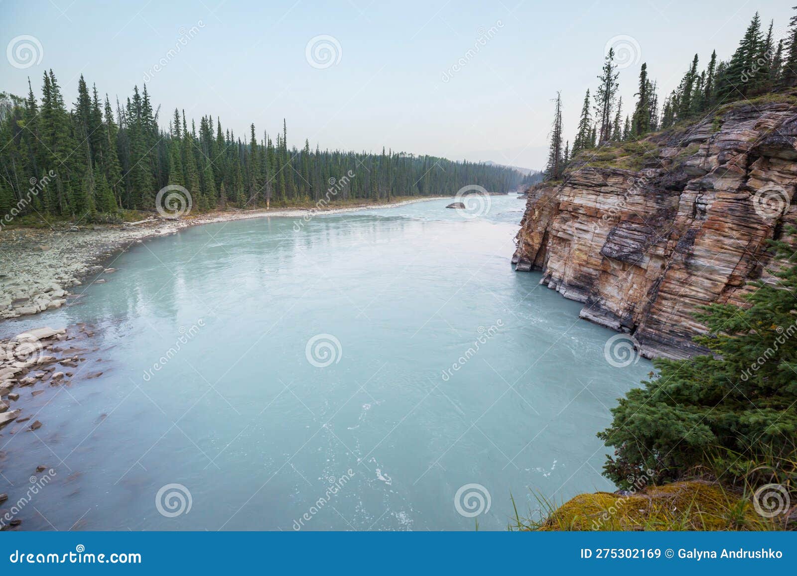 River in Canada stock image. Image of america, meadow - 275302169
