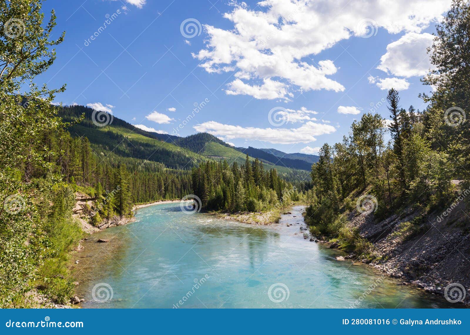 River in Canada stock photo. Image of golden, summer - 280081016