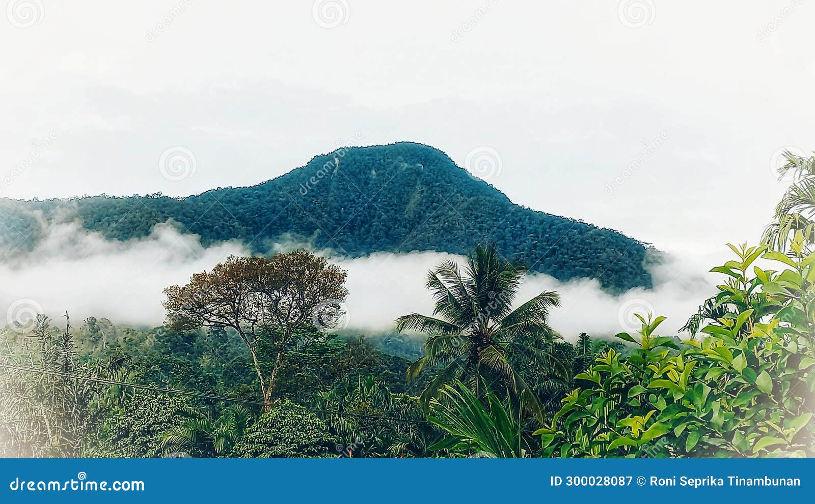 Beautiful Mountains, Trees and Clouds in the Morning Stock Image ...