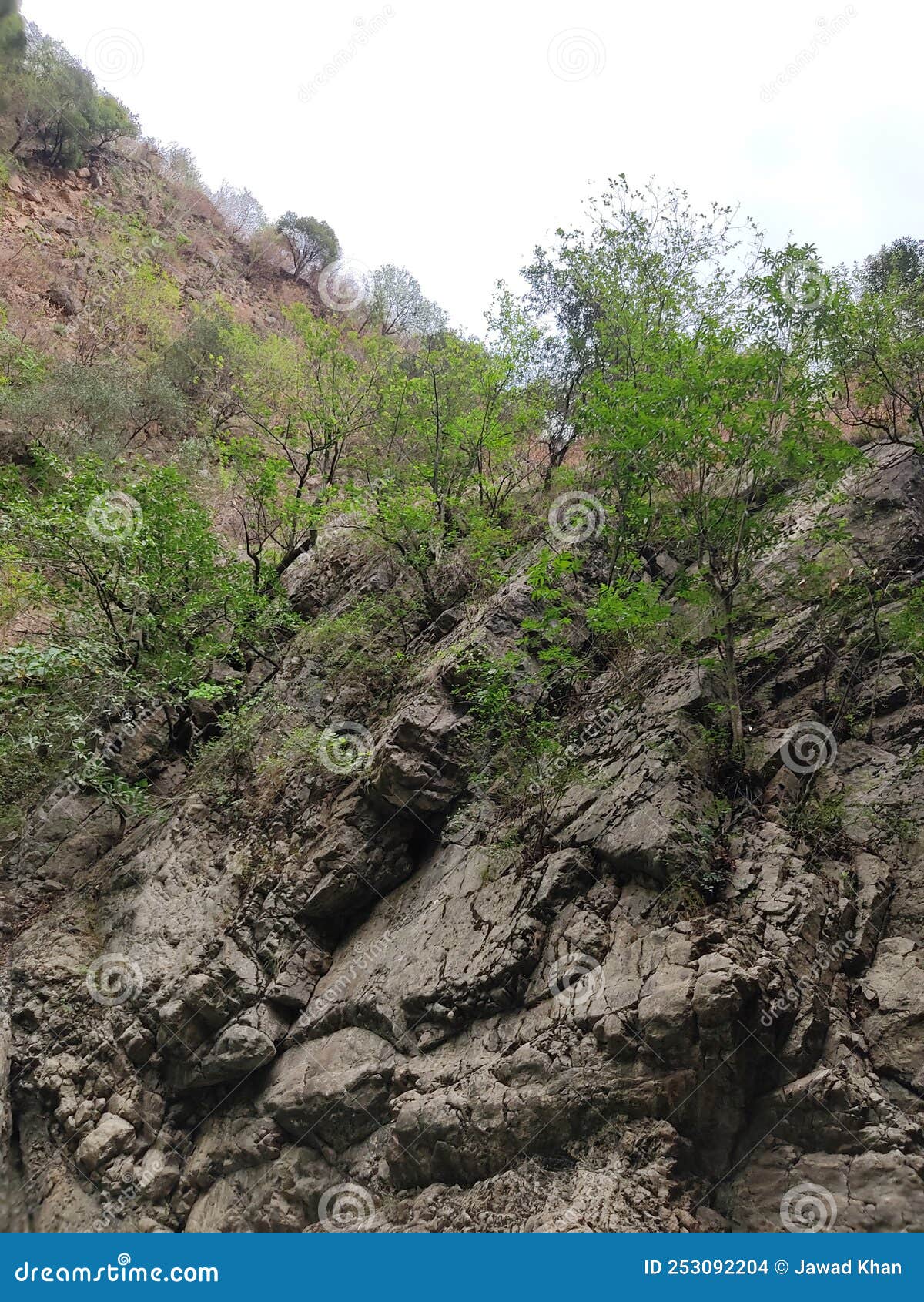 Beautiful Moutains stock photo. Image of tree, wilderness - 253092204