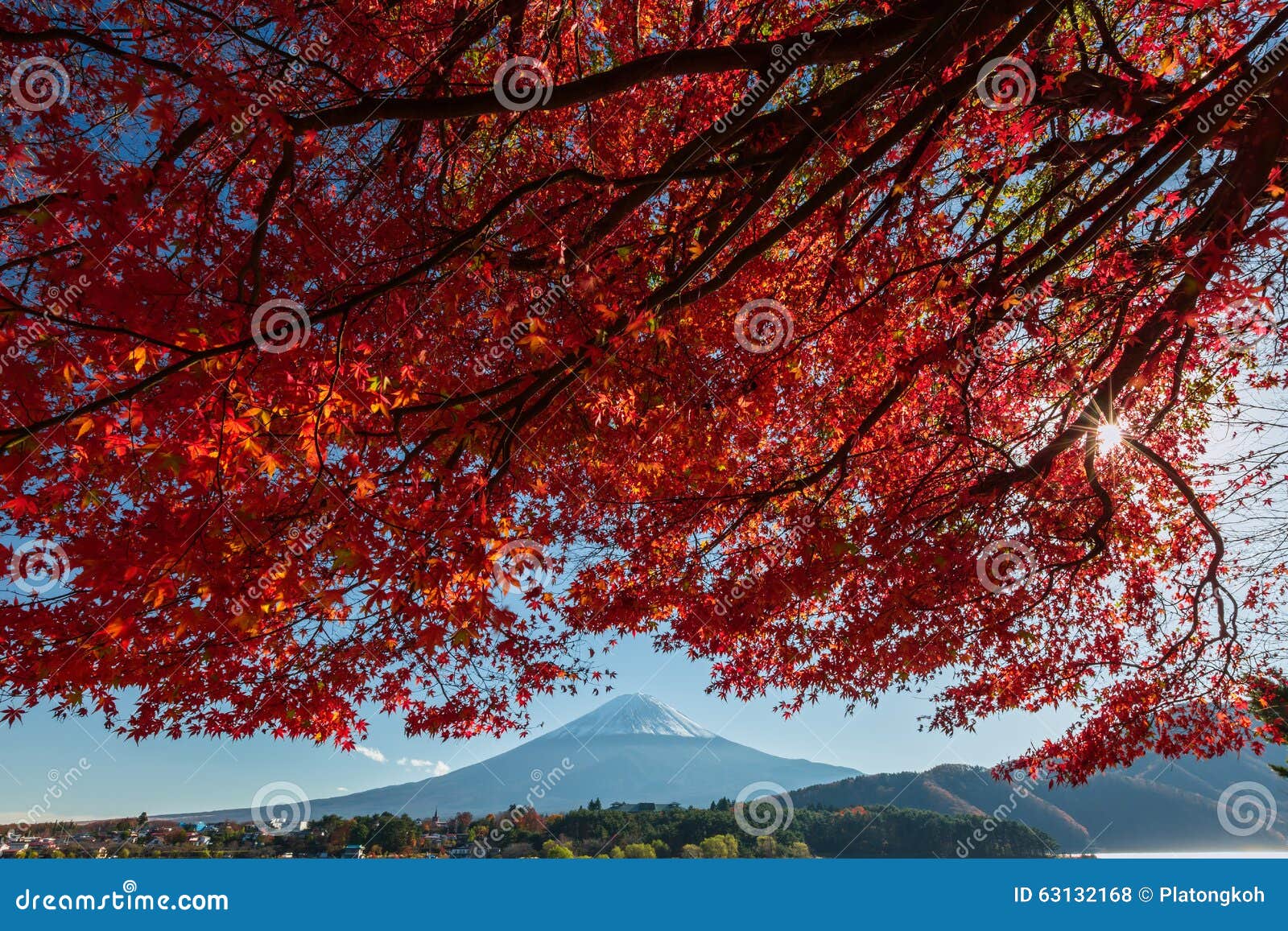 Beautiful Mt Fuji with Red Maple Tree Stock Photo - Image of outdoors ...