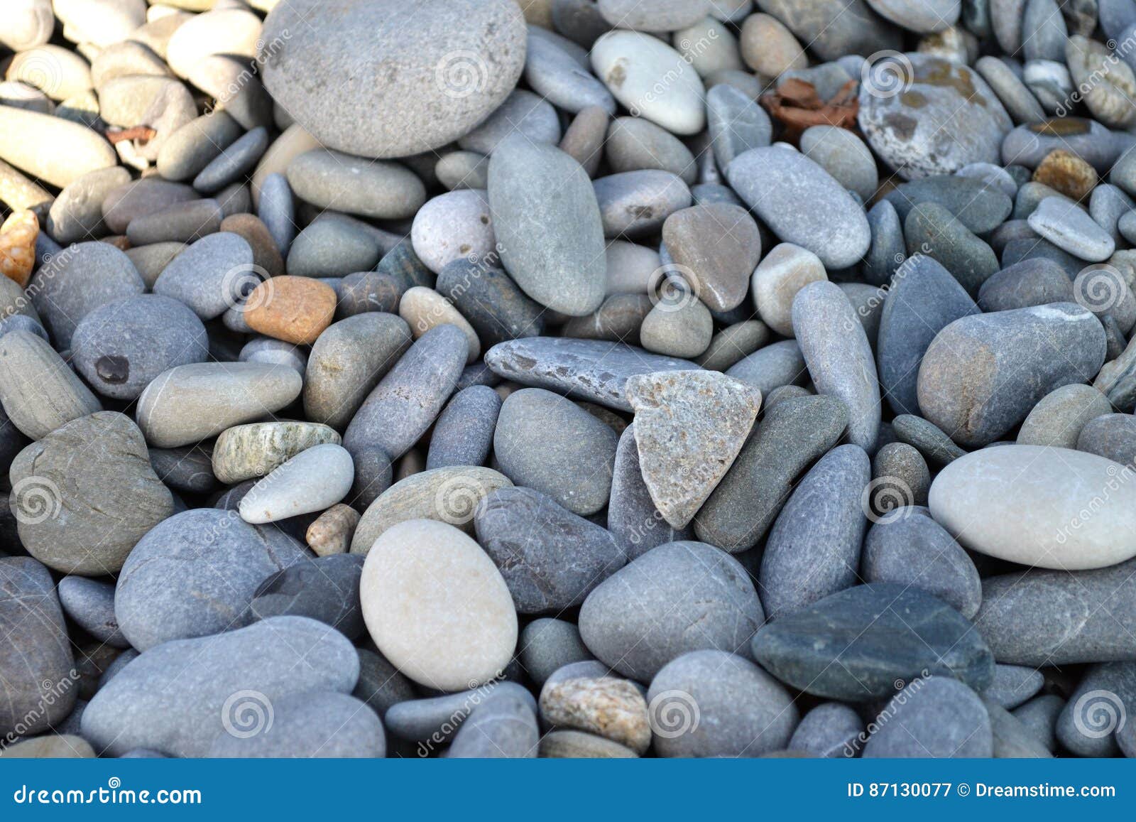 Beautiful Multi-colored Pebbles on the Beach Stock Image - Image of ...