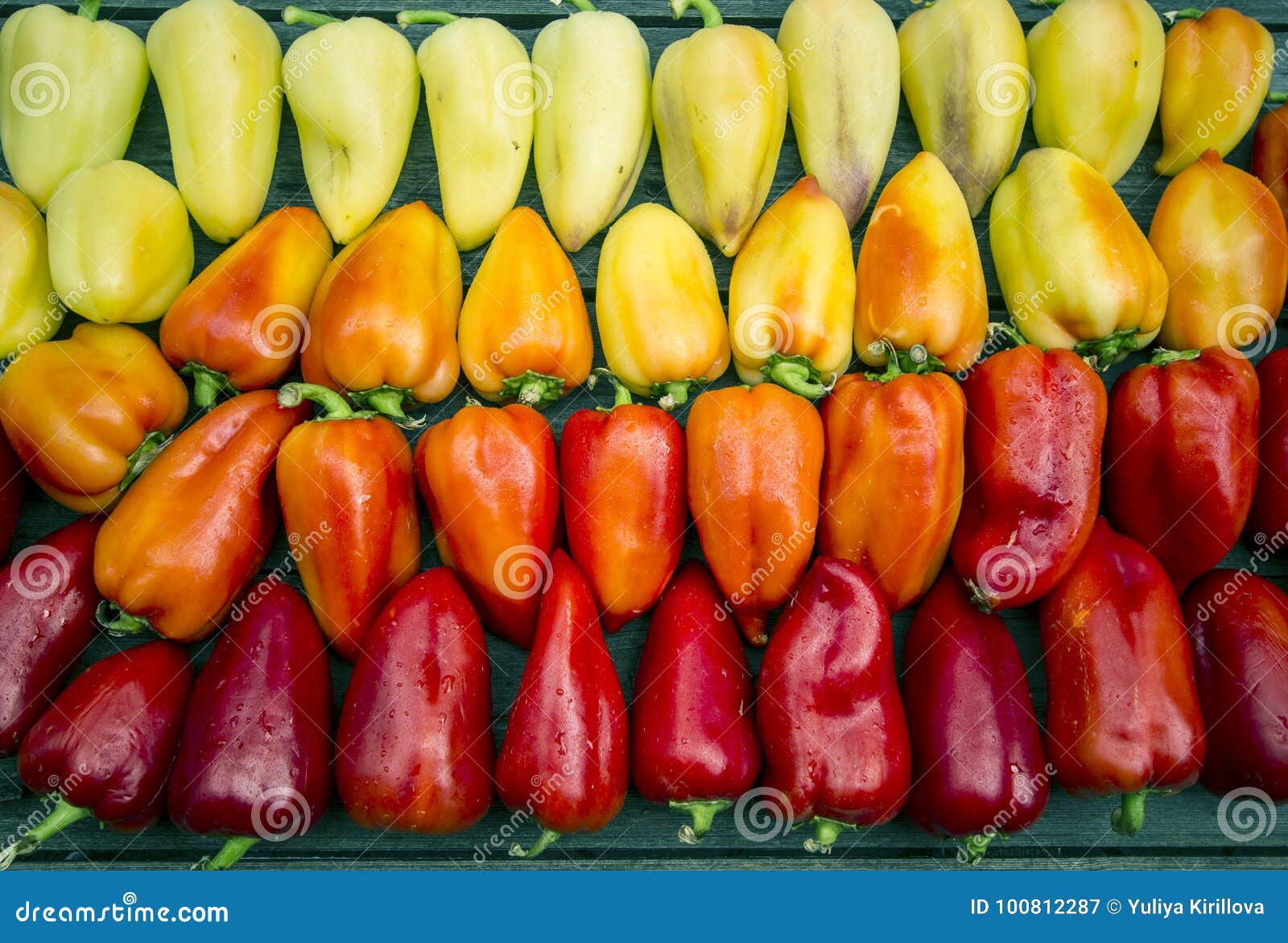 Beautiful Multi-colored Peppers Stock Image - Image of fresh, gourmet ...