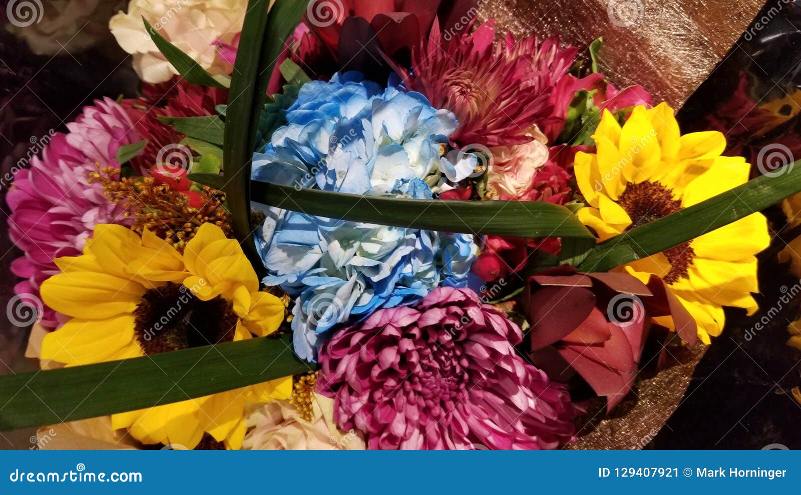 Beautiful Multicolored Flowers Stock Image - Image of multicolored ...