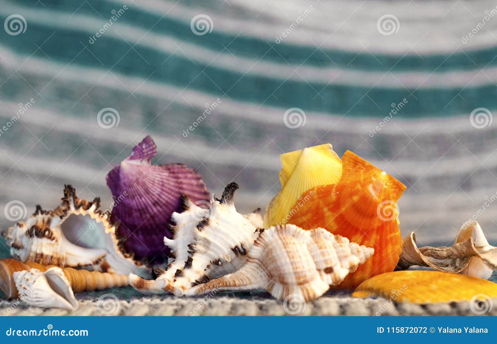Beautiful Sea Shells on a Background of Turquoise Waves Stock Photo ...