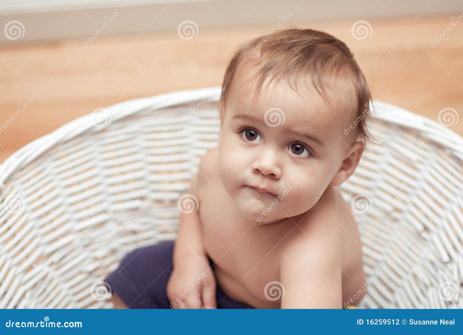 Beautiful Multicultural Baby in White Basket Stock Photo - Image of ...