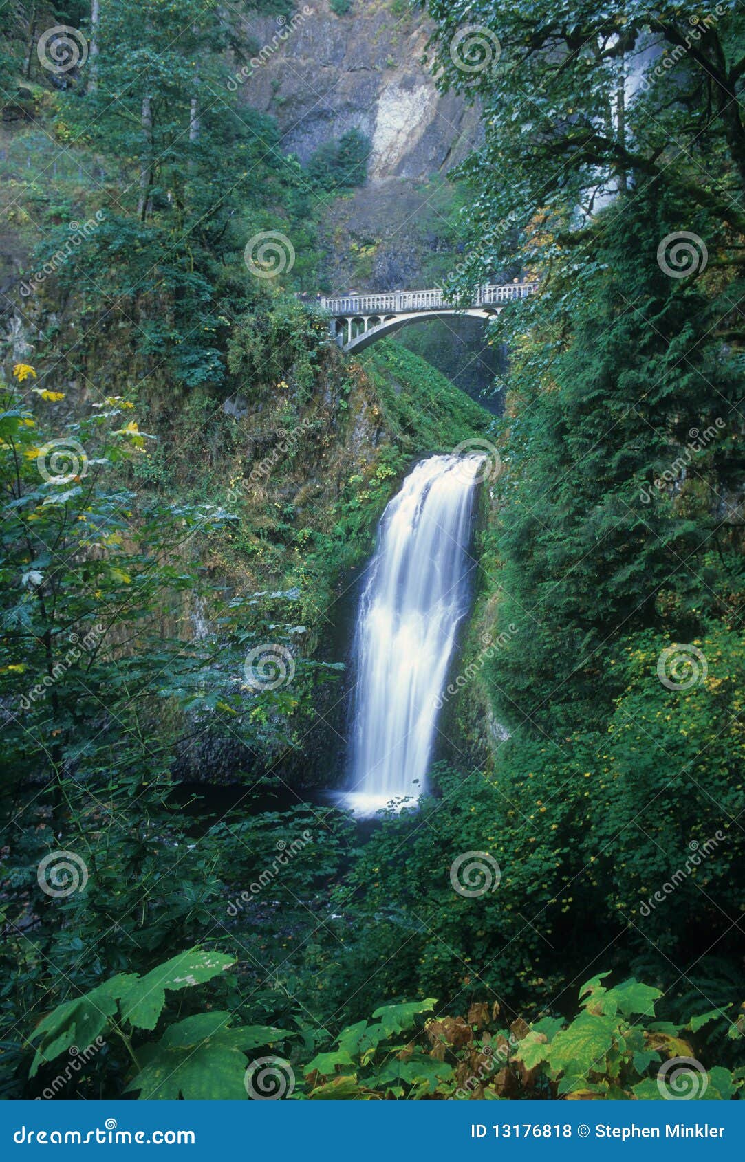 Beautiful Multnomah Falls stock photo. Image of nature - 13176818