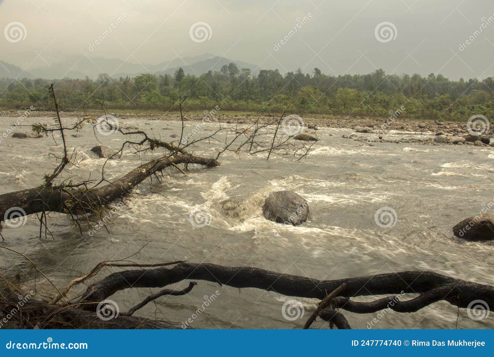 Beautiful Murti River after Heavy Rain Fall Stock Photo - Image of ...