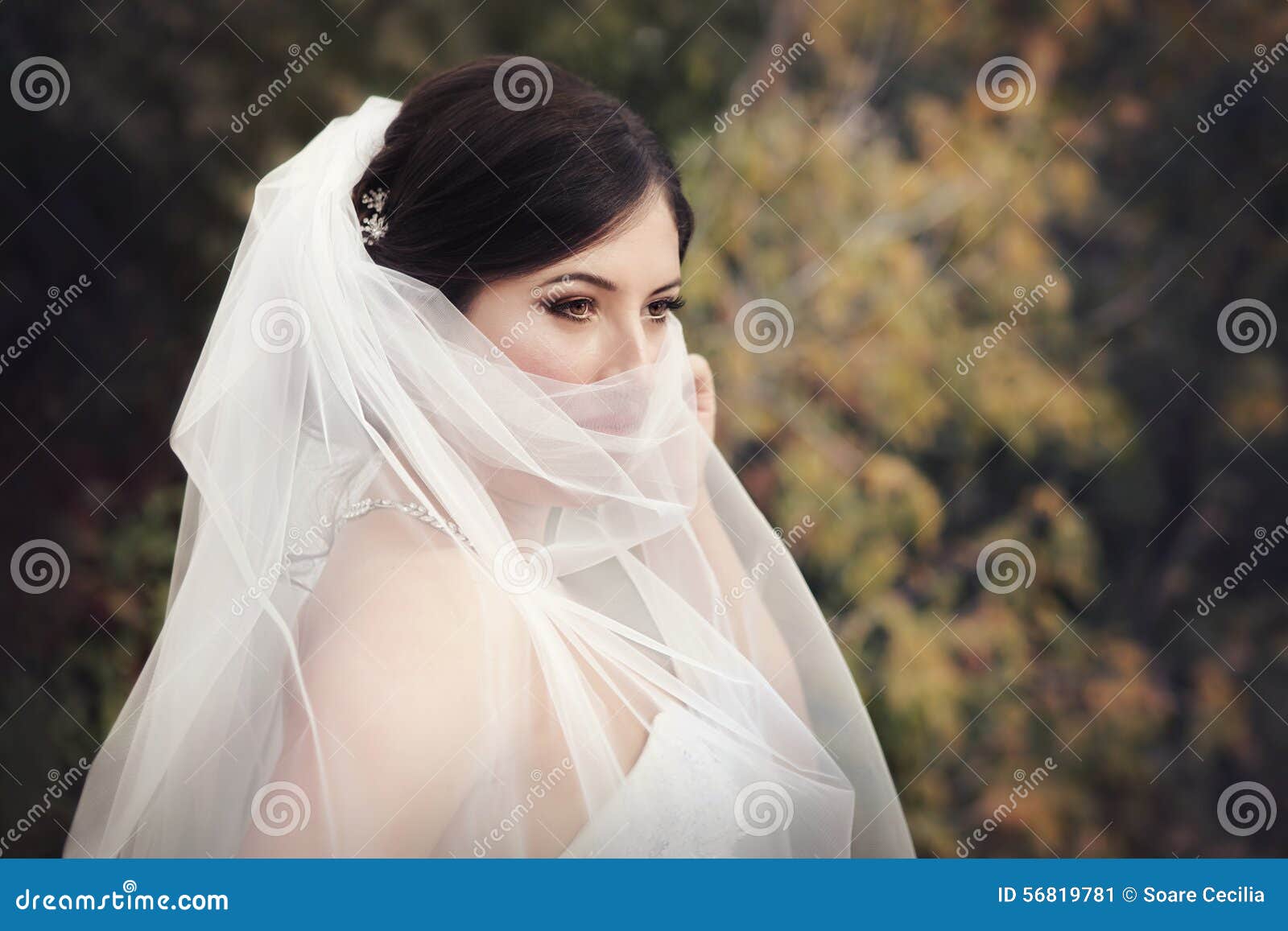 Beautiful mysterious bride stock image. Image of romance - 56819781