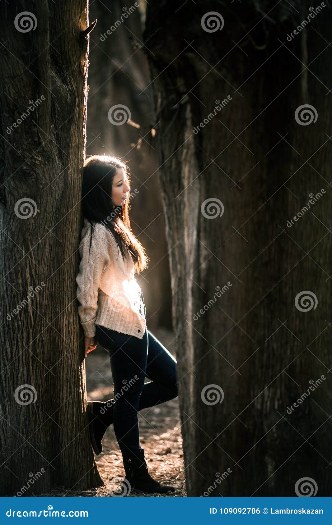 Beautiful Mysterious Woman Posing in the Forest, Old Classic Sty Stock ... Beautiful Mysterious Woman Posing in the Forest, Old Classic Sty Stock ...