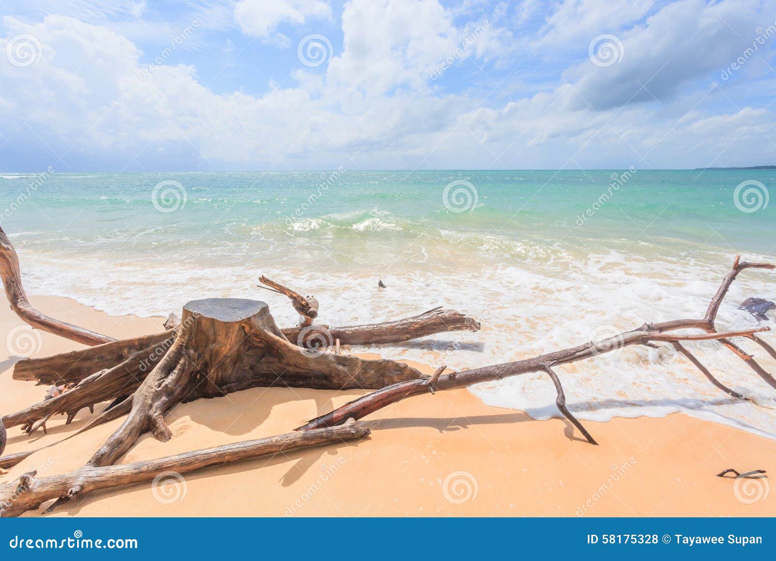 Beautiful Nai Yang Beach, Phuket, Thailand Stock Photo - Image of ...