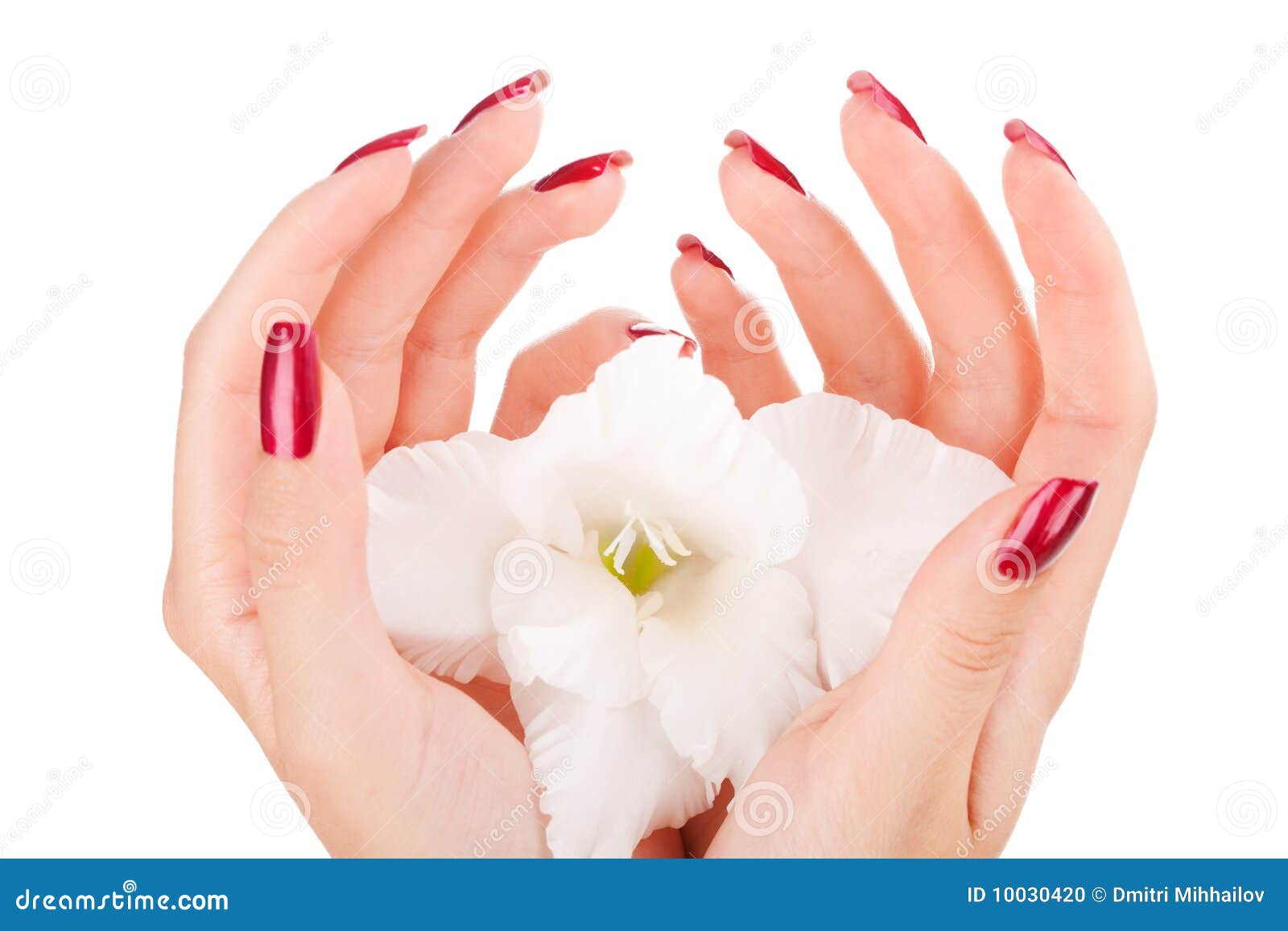 Beautiful Nails and Fingers Stock Photo - Image of healthy, beautiful ...