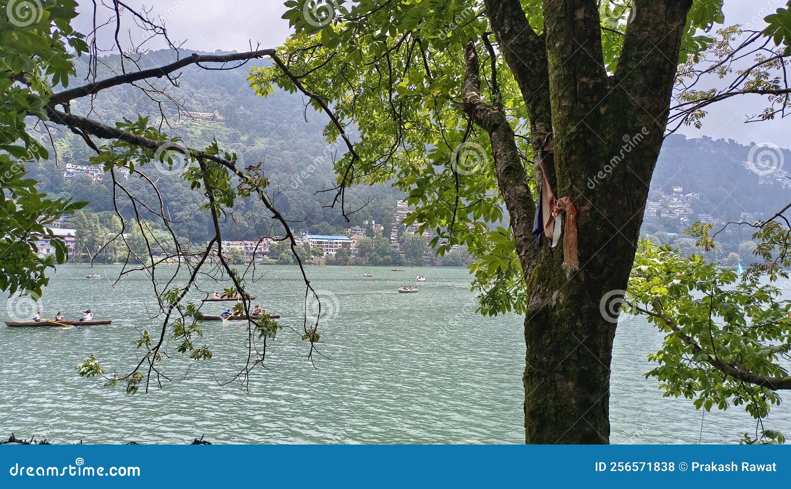 Beautiful Nainital Nature View Stock Photo - Image of reflection, water ...