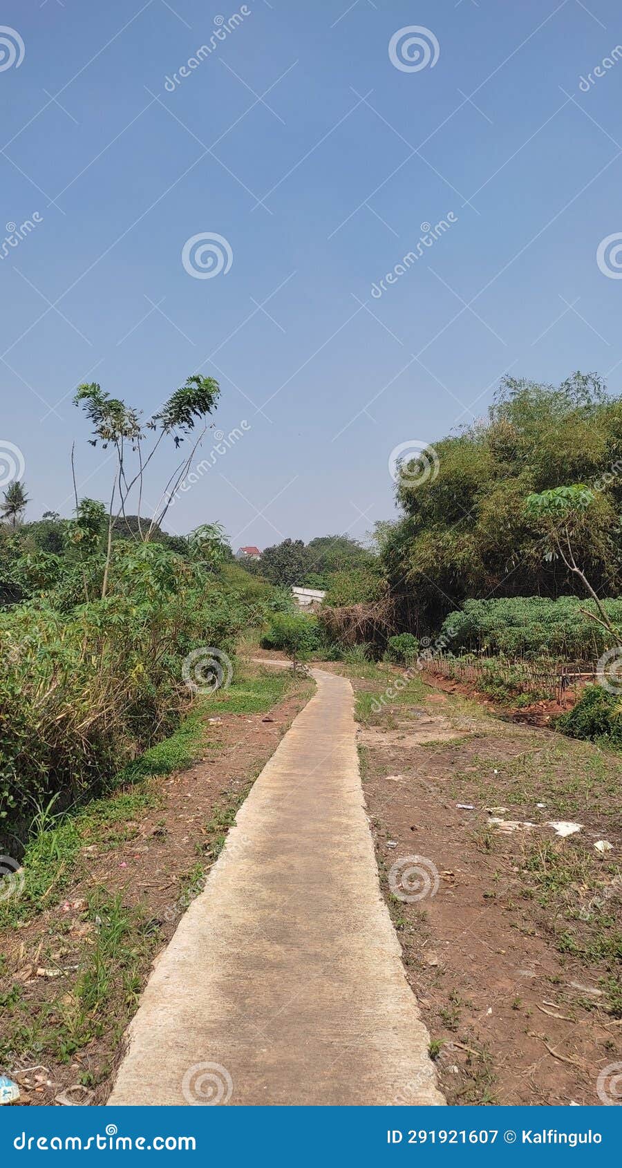 Beautiful narrow road stock image. Image of afternoon - 291921607
