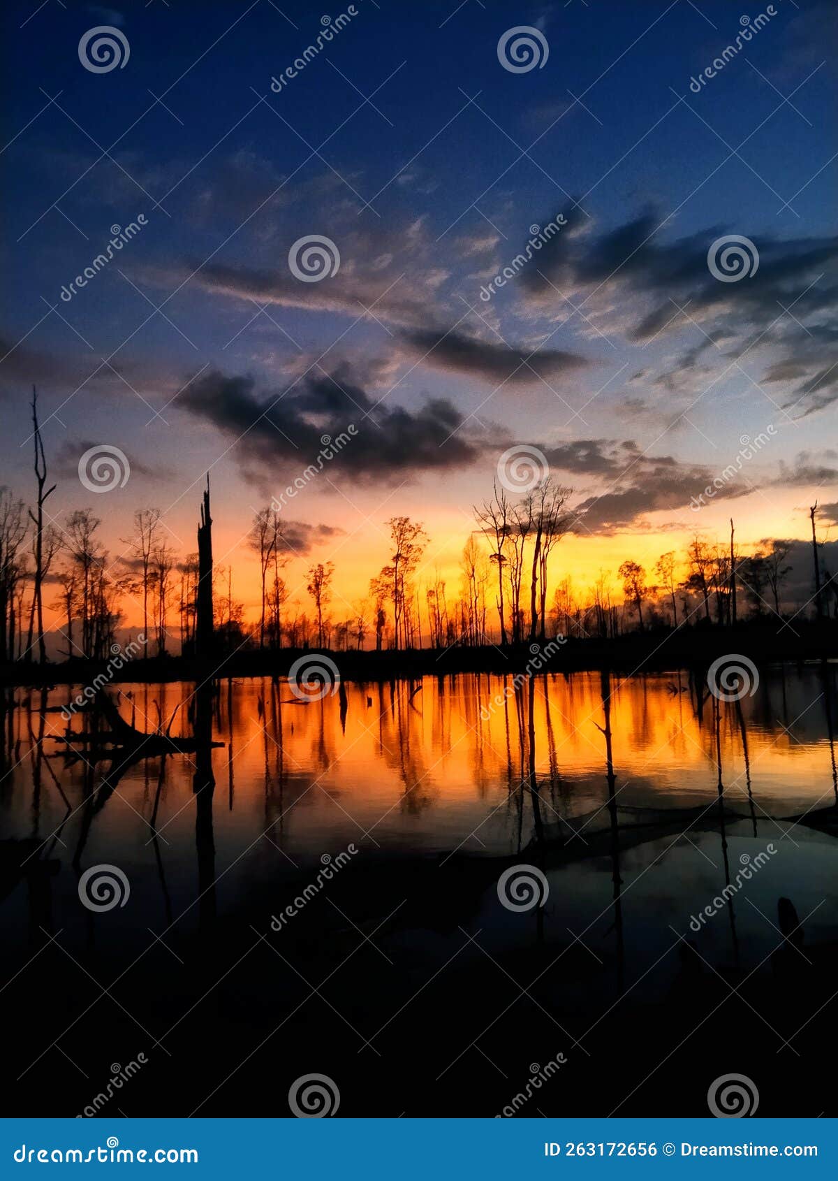 Beautiful Natural Atmosphere in the Afternoon Stock Photo - Image of ...