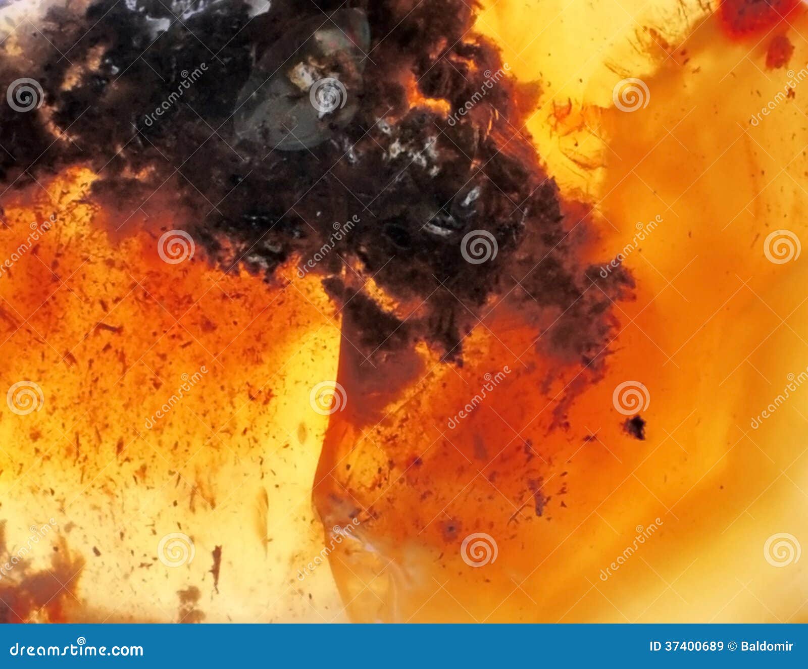 Beautiful Natural Baltic Amber Stock Image - Image of green, resin ...