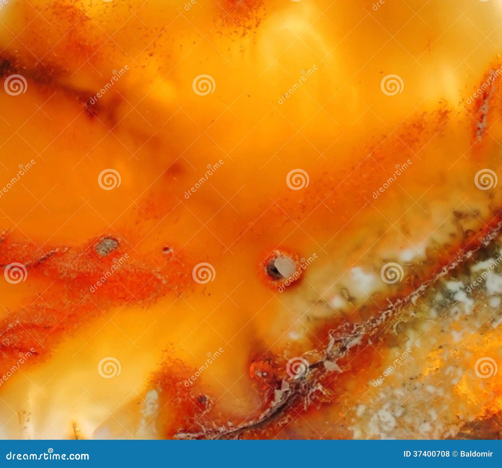 Beautiful Natural Baltic Amber Stock Photo - Image of trees, bottom ...