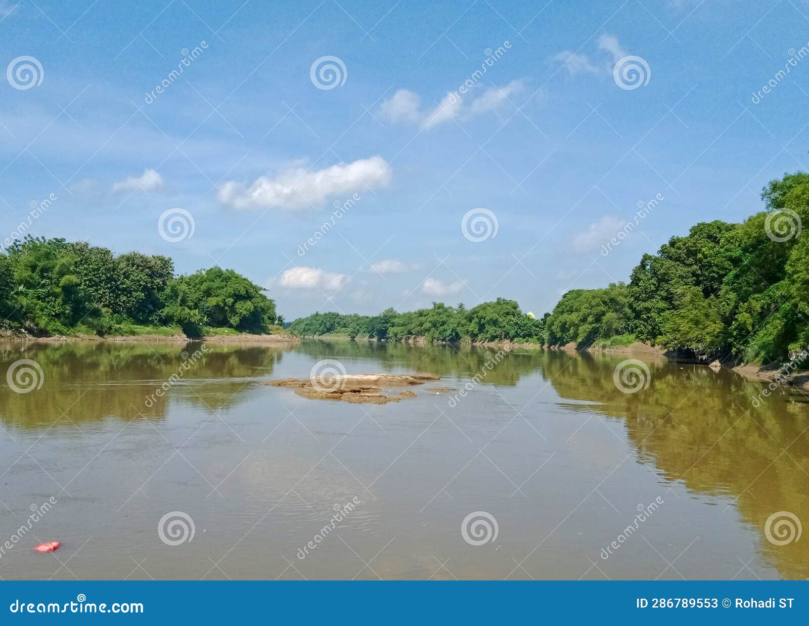Beautiful and Natural Bengawan Solo River Stock Image - Image of solo ...