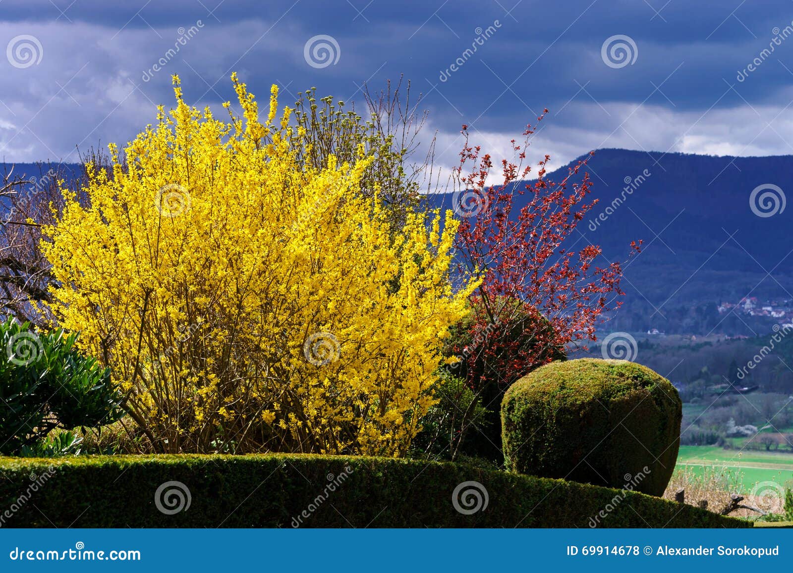 Beautiful natural colors stock photo. Image of yellow - 69914678