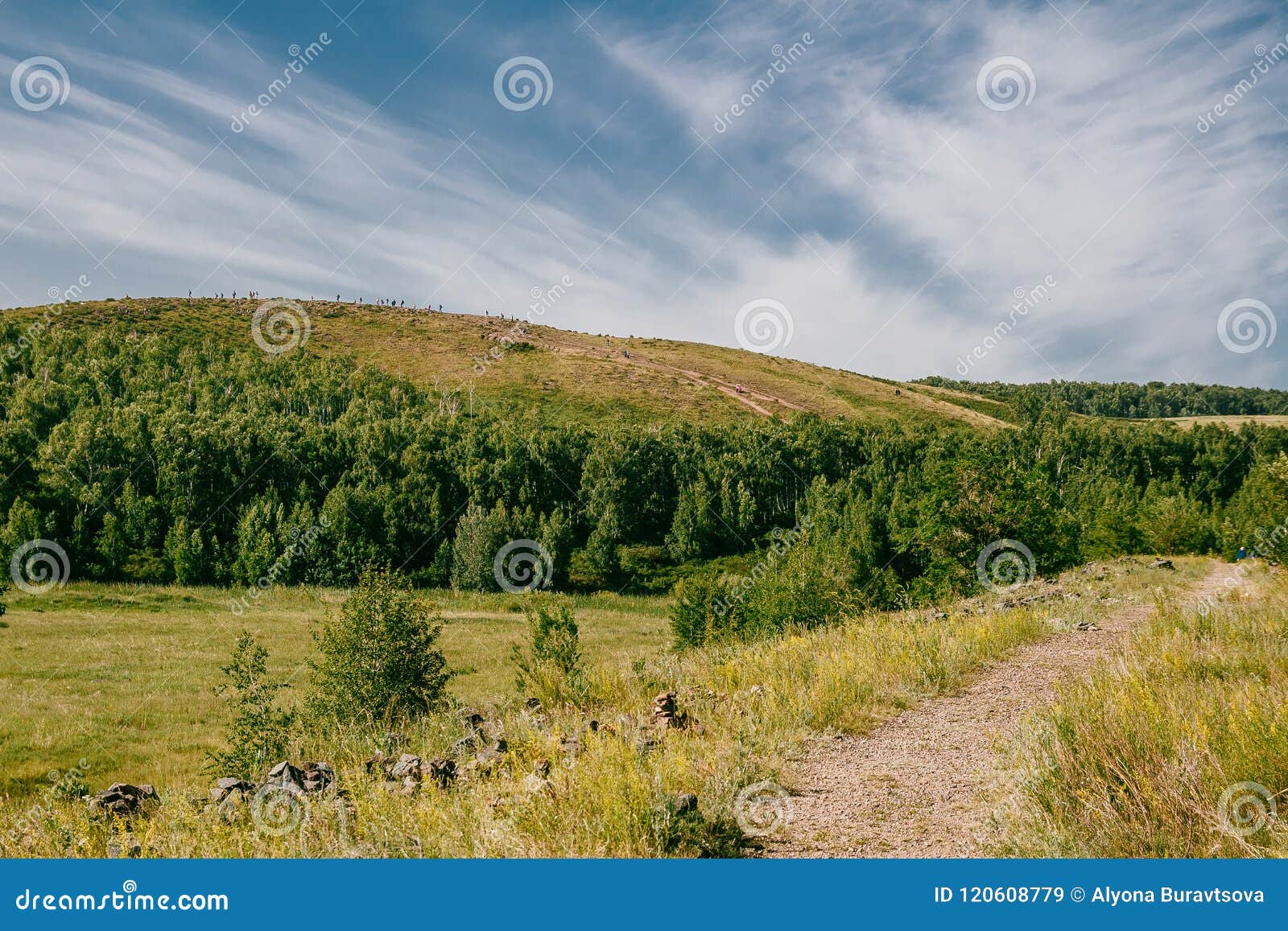 Beautiful Natural Landscape, Mountain, Forest and Path Stock Image ...