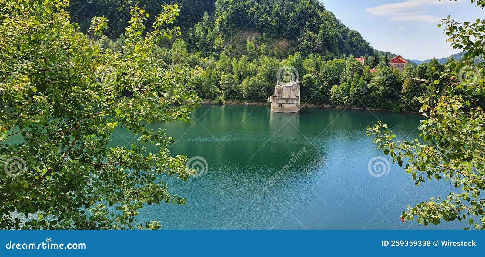 Beautiful Natural Landscape of a Lake Surrounded by Trees Stock Photo ...